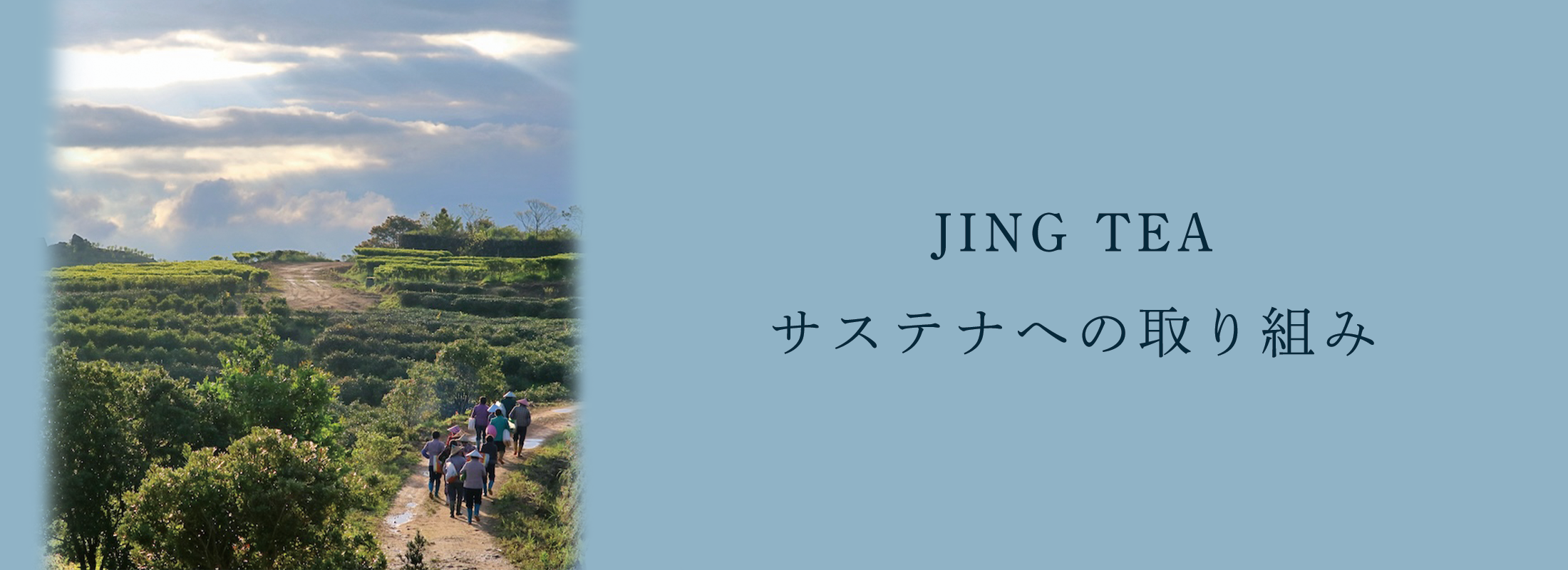JING TEAのサステナへの取り組み | 紅茶通販専門店JING TEA(ジンティー)【公式】